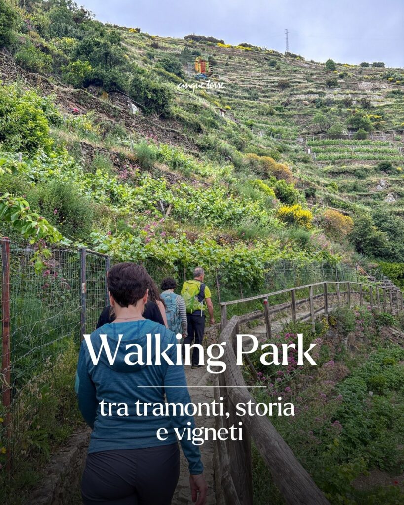 Cinque Terre Walking Park August 11th - 15th 2025 » Cinque Terre Consorzio Turistico